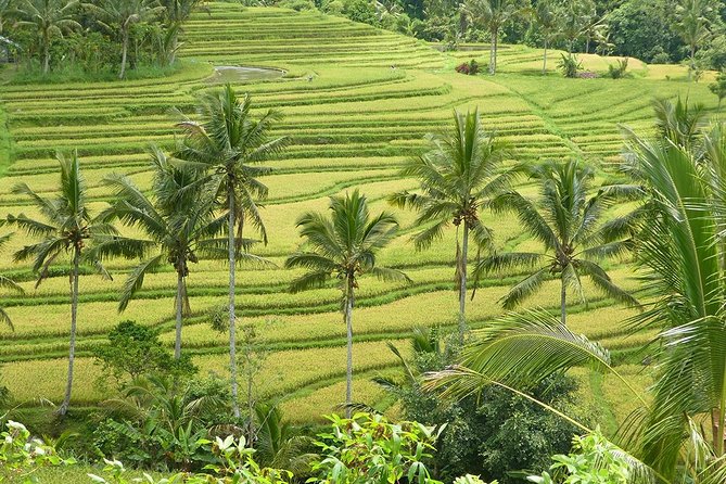 Private Full-Day Tour of West Bali with Hotel Pick Up - Final Thoughts: Who Will Love This Tour?