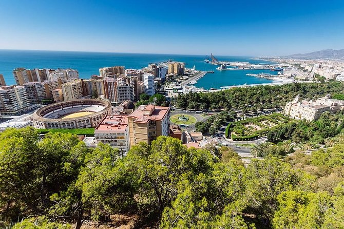 Private Full-Day Tour to Malaga from Seville with Hotel pick up & drop off - What Past Travelers Say