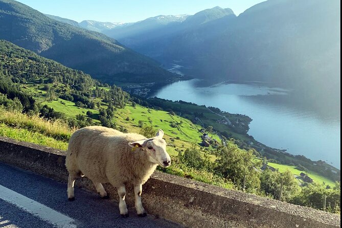 Private Guided Tour to Oslo Nærøyfjord Cruise and Flåm Railway - Who Would Love This Tour?