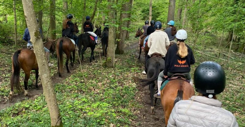 Private Horse Ride experience - Why Travelers Love This Experience