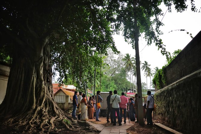 Private Kingdom of Gods Trail Walking Tour - What Travelers Say