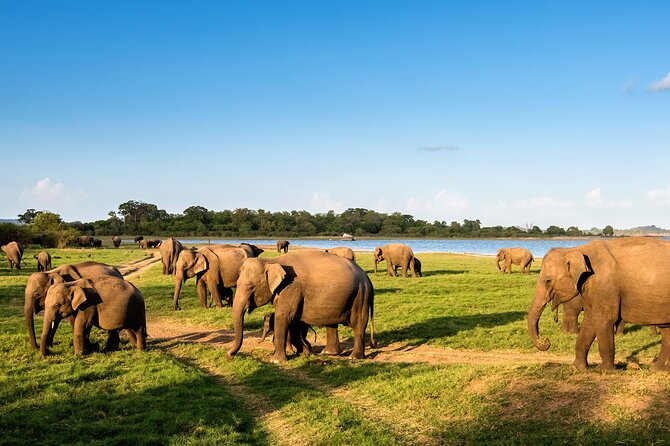 Private Multi-Day Outdoor Tour in Sri Lanka - Who Should Consider This Tour?