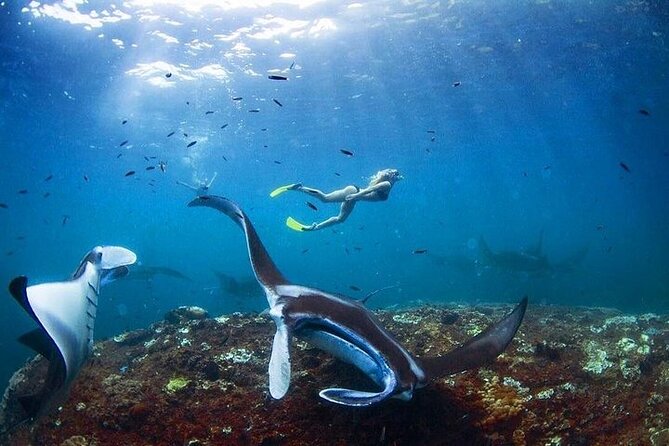 PRIVATE Nusa Penida on Boat Snorkeling & Island Tour (INCLUSIVE) - Final Thoughts: Is This Tour Right for You?