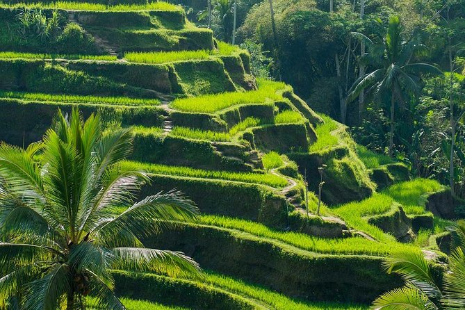 Private Shore Excursion: Customized Best of Bali Tour - FAQ