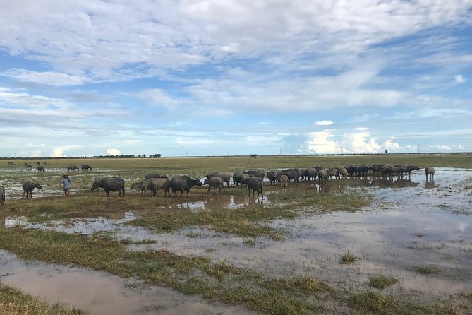 Private Siem Reap Countryside Tour by Jeep with Local Food Experience - Practical Considerations