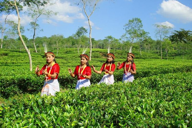 Private Tour: 5 Days - Bangladesh Nature & Culture Tour - North-eastern part - Who This Tour Is Perfect For