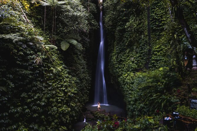 Private Tour: Bali Temples, Hidden Waterfall and Handara Gate - What Real Travelers Say