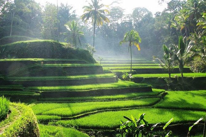 Private Tour: Batuan Temple, Tegenungan Waterfall, Elepahant Cave Free transport - Final Thoughts