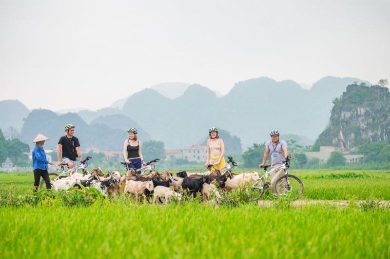 Private Tour: Hoa Lu/Bai Dinh - Trang An - Tam Coc -Mua Cave - Practical Tips for Travelers