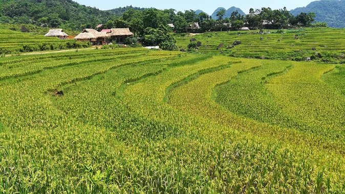 Private transfers From Hanoi to Puluong or From Puluong to Hanoi - The Sum Up: Is This Transfer Right for You?