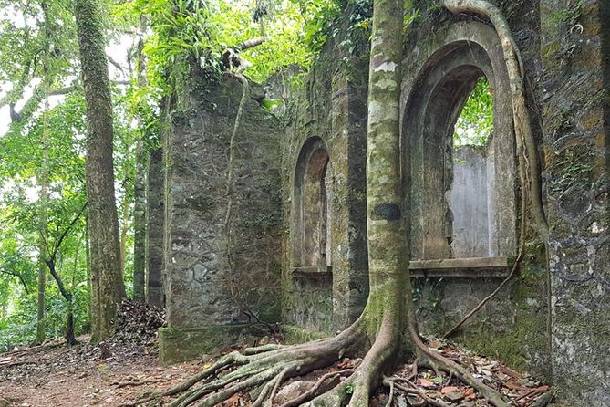 Private Transfers Hanoi to Ba Vi National Park Two Ways Full Day - Price and Value Analysis