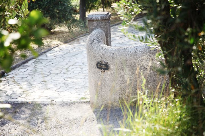 Provence Olive Harvest - Practical Tips for Travelers