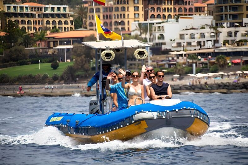 Puerto Colon: Dolphin and Whale Watching Speedboat Tour - Why the Price is Good Value