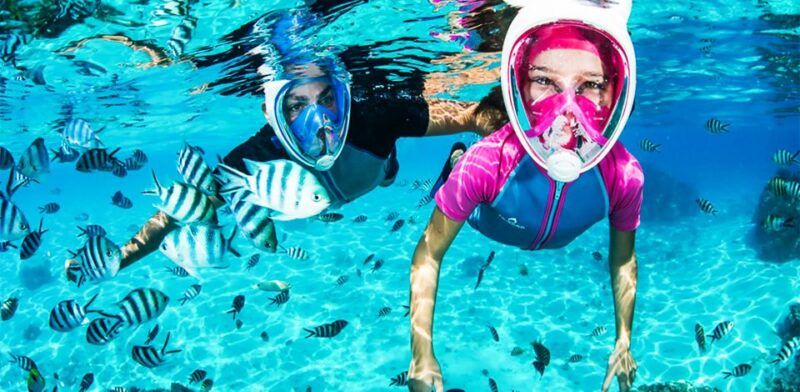 Puerto del Carmen: Dolphin-Watching Speedboat Tour with Swim - Who Will Love This Tour?