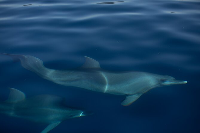 Pula Sunset Cruise: Brijuni Views, Drinks, Romance (Max 6 Guests) - The Value of the Experience