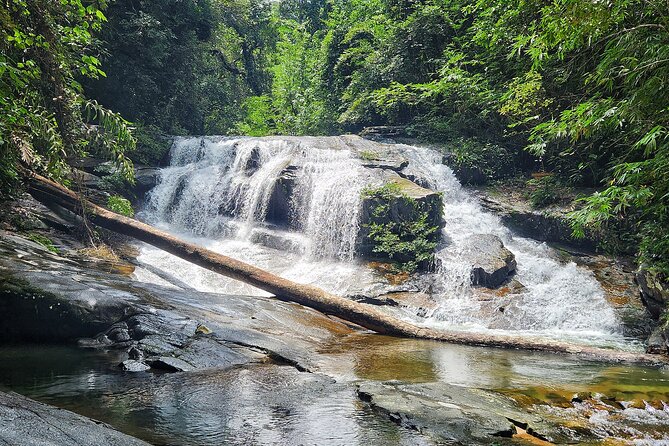 Rayong Adventure Full day Trip from Pattaya - Authentic Experiences That Shine