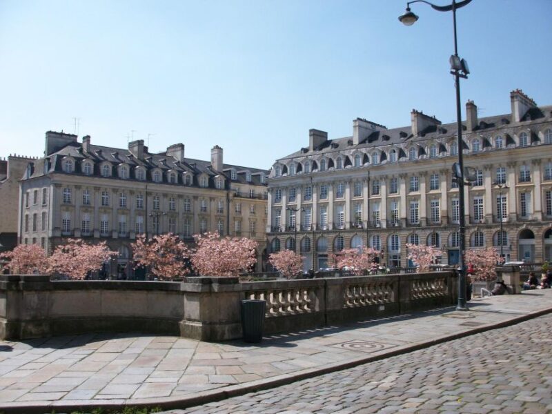Rennes: Private Guided Walking Tour - Uncovering Rennes’s Roman Roots