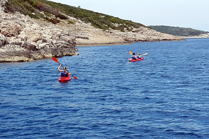 Rent a double kayak for 2 hours - Final Thoughts: The Value of a Self-Guided Coastal Kayak