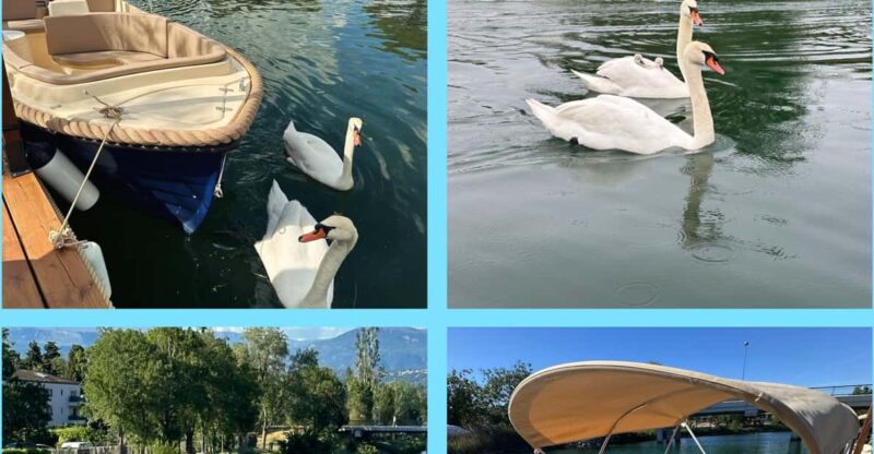 Rental of electric boats without a license - Final Thoughts