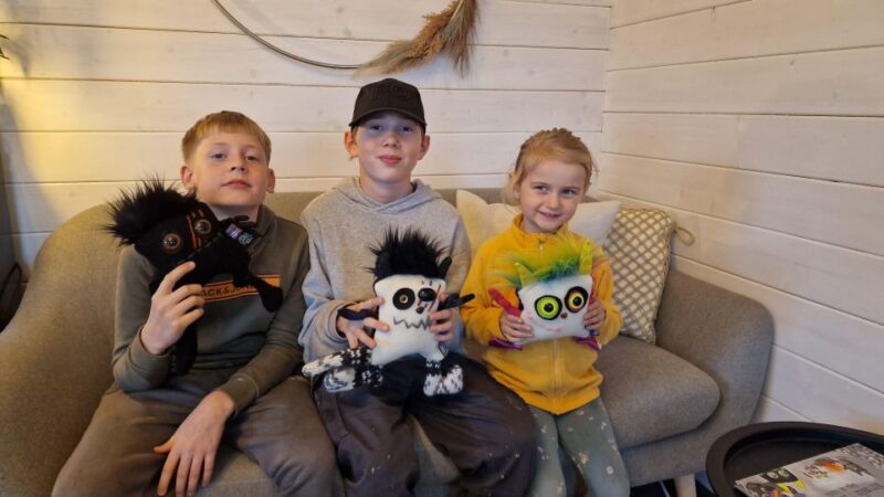Reykjavik: Make an Icelandic Wool Monster - Why This Experience Offers Real Value