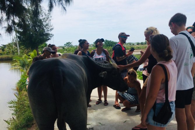 Riding Water Buffalo Hoi An Private Bike Tour - Practical Tips for Participants