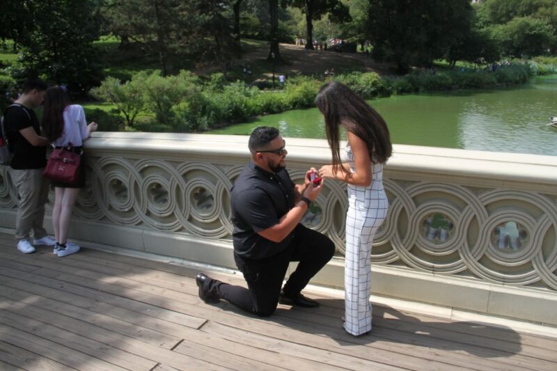 Romantic/Proposal Central Park Carriage Tour Up to 4 Adults - Cost and Value