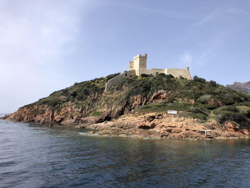 Sagone/Cargèse: Croisière Scandola, Piana, Girolata Baignade - Practical Tips for Your Trip
