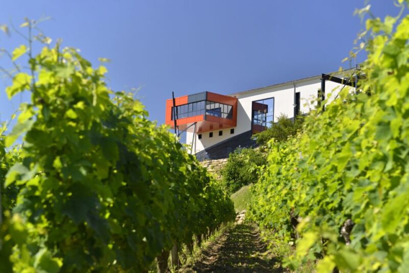 Saint-Emilion: Grand Cru Classé Gourmet Visit - Practical Details and Logistics