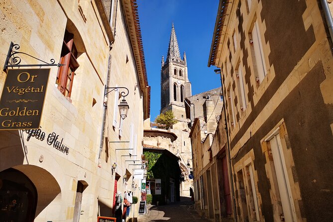Saint Emilion Walking Tour - Who Would Love This Tour?