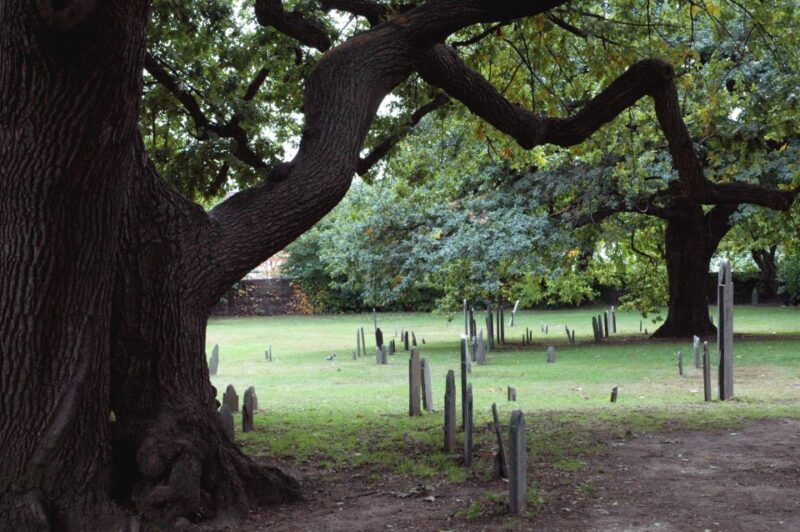Salem: Requiem for Salem Walking Ghost Tour - What Makes This Tour Stand Out?