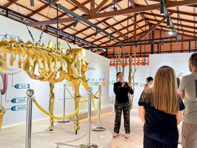 Samui: Elephant Home Sanctuary & the first elephant musuem - Price and Value