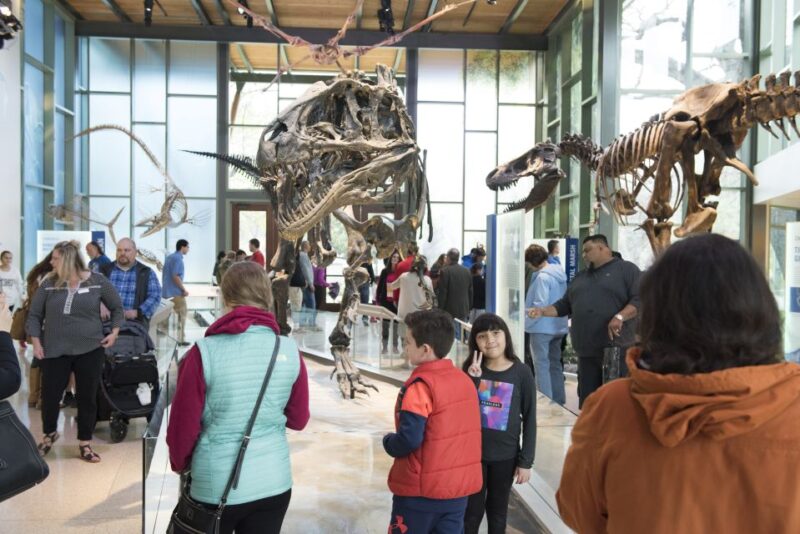 San Antonio: Witte Museum Admission Ticket - Final Thoughts
