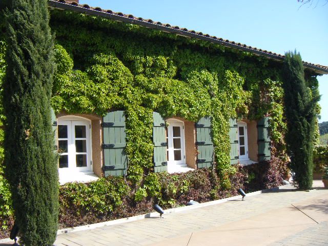 San Francisco: Half-Day Wine Country Tour with Wine Tastings - The Practical Side: Timing, Comfort, and Cost