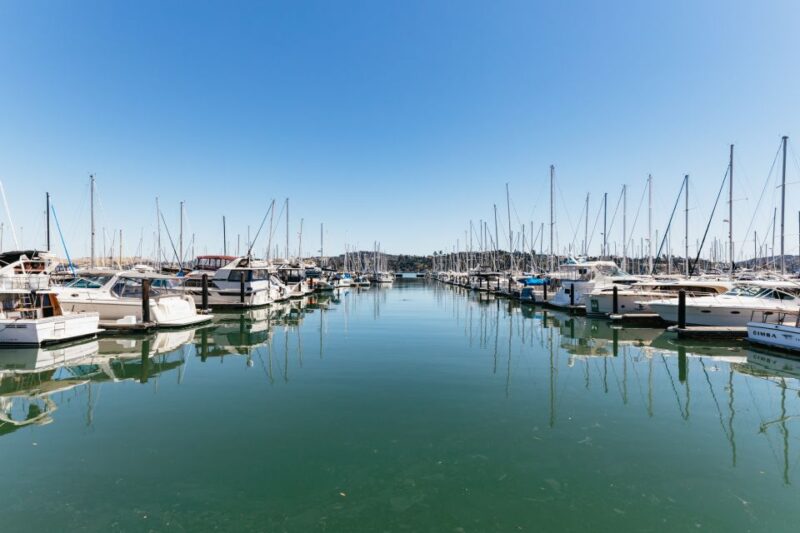 San Francisco: Muir Woods and Sausalito Small-Group Tour - Considerations and Possible Drawbacks