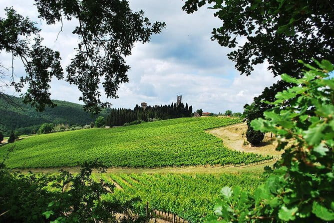San Gimignano and Chianti Classico Wine and Food PRIVATE TOUR from Florence - The Sum Up