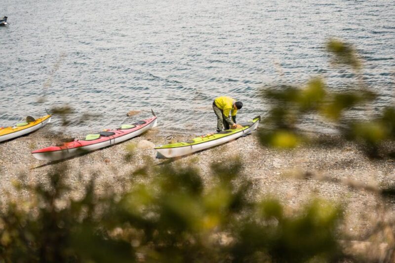 San Juan Island: 3-h Griffin Bay Tour - The Scenic Highlights