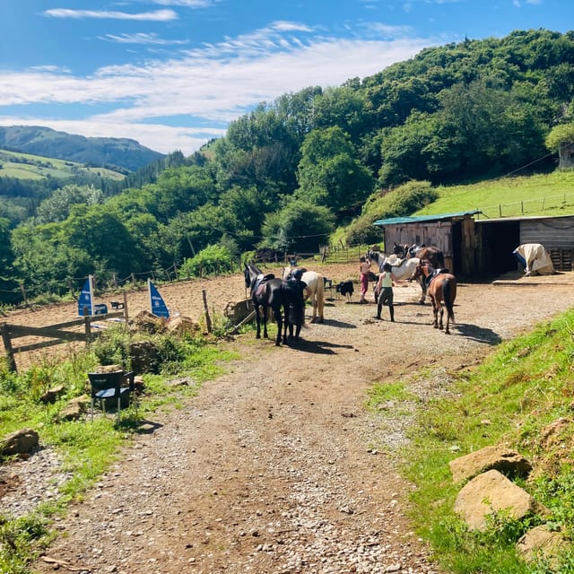 San Sebastian: Horseback Riding & Traditional Delights - FAQ