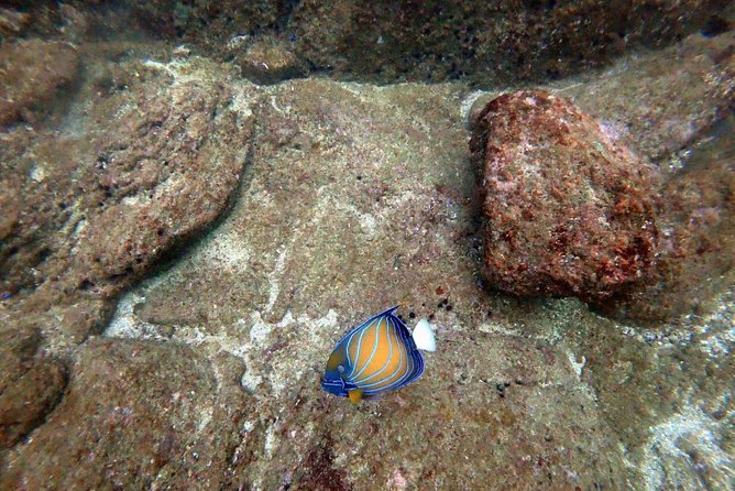 Scuba Diving in Unawatuna - What’s Included and What to Expect