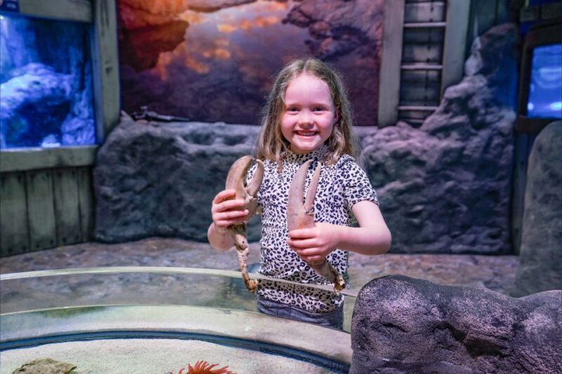 SEA LIFE Great Yarmouth - What Reviewers Say