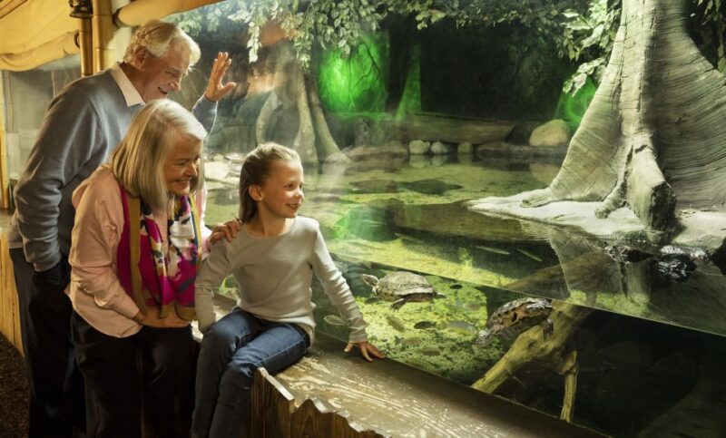 SEA LIFE Michigan Aquarium General Admission - Authentic Feedback from Visitors