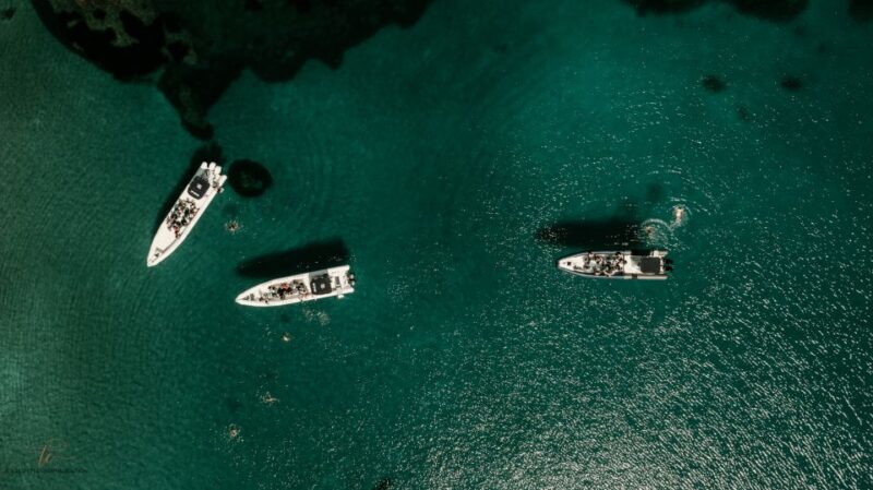 Sea trip: Ajaccio - Scandola Reserve - Why This Tour Offers Great Value