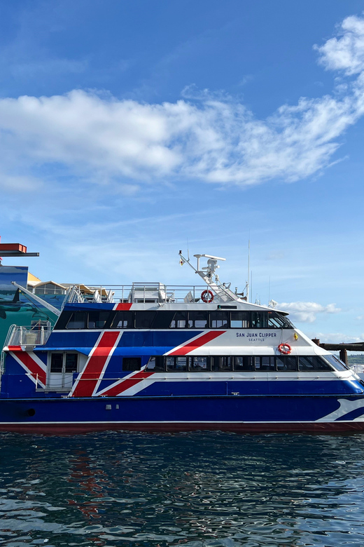Seattle: Half-Day Wildlife and Whale Watching Cruise - The Bottom Line: Who Should Take This Tour?