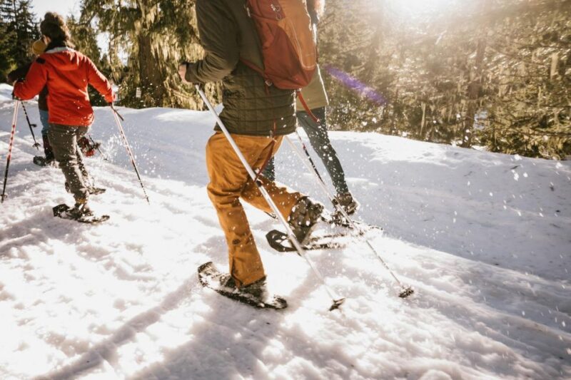 Seattle: Longmire in Mount Rainier Winter Day Tour - The Practical Side: What You Need to Know