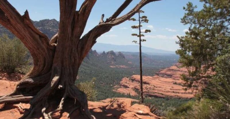 Sedona: PRIVATE 2-Hour Colorado Plateau Scenic Jeep Tour - Authenticity and Authentic Experiences