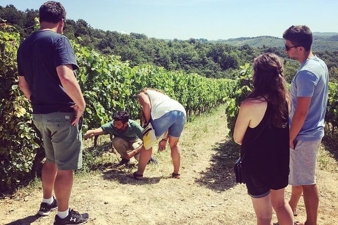 Semi-Private Chianti Wine Tour with Dinner in Tuscany Vineyard - Why Travelers Love This Tour