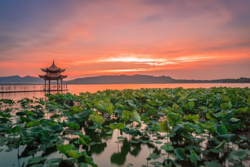 Shanghai: Private Guided Tour to Hangzhou by Bullet Train - What Makes This Tour Stand Out?