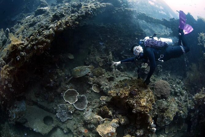 Shipwreck Diving in Tulamben - Who Should Consider This Tour?