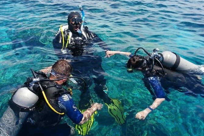 Side Scuba Diving Adventure with Lunch & Roundtrip Transfer - Practical Considerations