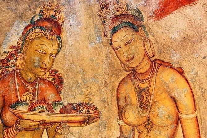 Sigiriya Day Tour from Colombo or Negombo by Private Car / Van - Minneriya National Park Safari
