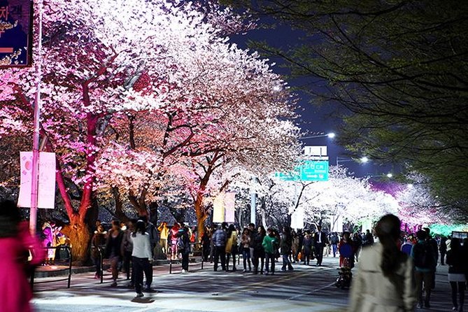 Small Group 7D Korea package Tour with Seoul Gyeongju Busan Jeju - FAQ